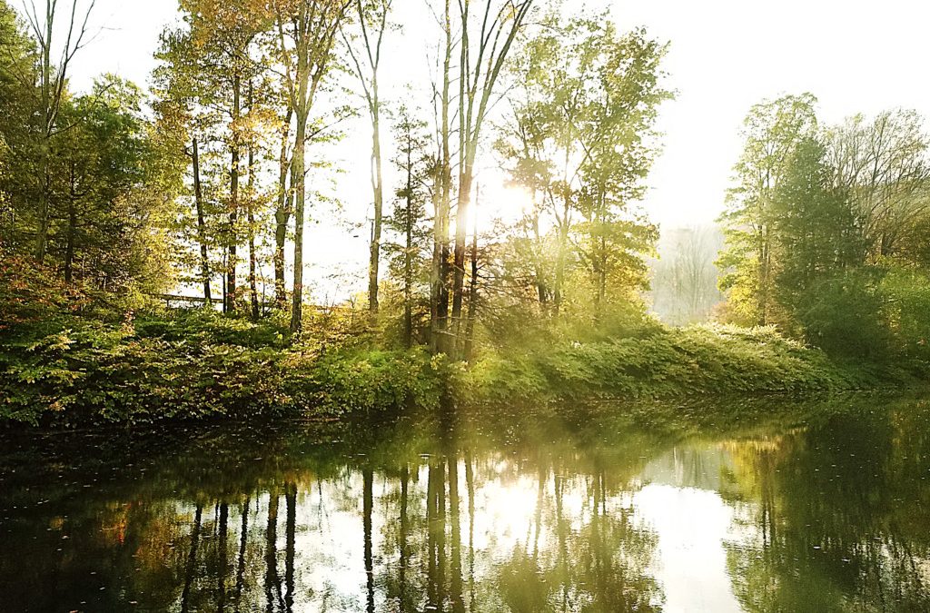 Hazy Afternoon | Isaac Golding Photography ~ Land and Aerial ...